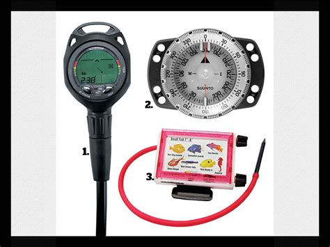 How To Improve Your Underwater Navigation Skills Scuba Diving