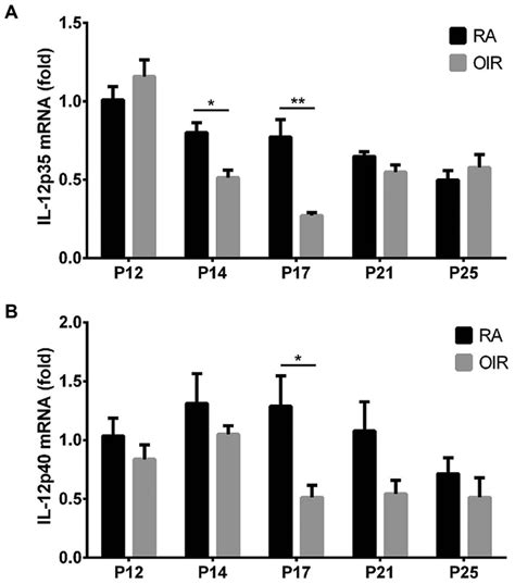 Expression Of The Mrnas Of Il 12p35 And Il 12p40 Determined By