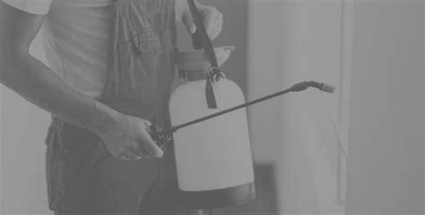 Best Exterminator Newark NJ Last Stop Pest Control