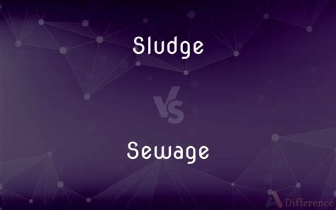 Sludge Vs Sewage — Whats The Difference