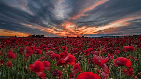 Nick Betson Explore Bury St Edmunds