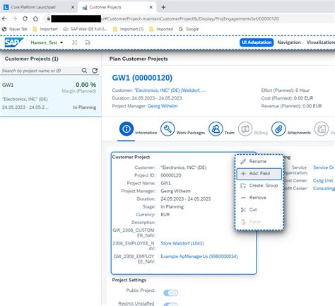 Enrich SAP S 4HANA Key User Custom Fields With Int SAP Community