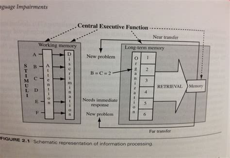 CSAD Exam Flashcards Quizlet CSAD Exam Flashcards Quizlet