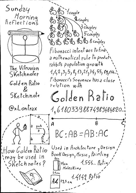The Vitruvian Sketchnoter And Golden Ratio Golden Ratio Fibonacci Golden Ratio Fibonacci