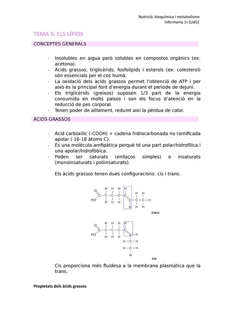 Tema 5 Els Lípids Apunts Infermeria 1r Udg Tema 5 Els LÍpids