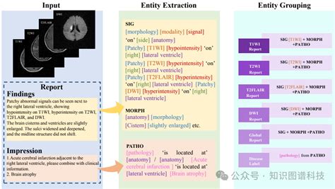 医疗多模态基础大模型在临床诊疗中的应用、挑战与未来方向 清华大学、长庚医院等多模态影像组学的未来和挑战 Csdn博客