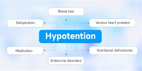 Hypertension Vs Hypotension Understanding The Key Differences Hingmed