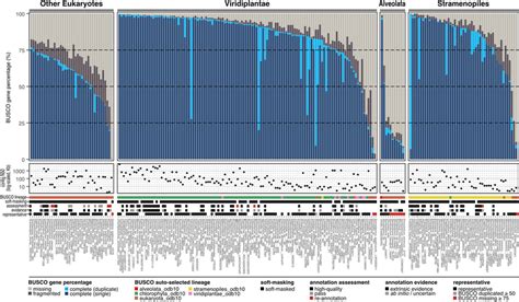 Busco Assessment Results Of Genome Assemblies The Top Panel Displays