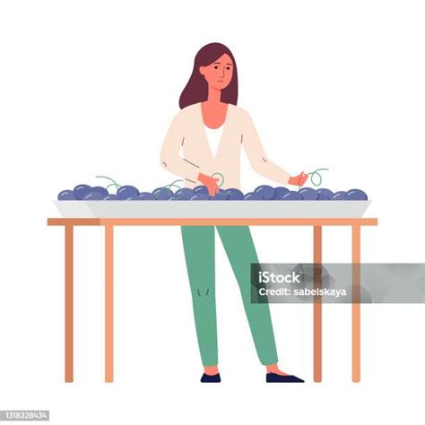 와인 만들기를 위해 포도를 분류하는 여성 흰색에 고립 된 플랫 벡터 일러스트 레이션 공장 산업 건물에 대한 스톡 벡터 아트 및 기타 이미지 공장 산업 건물 과일 농업