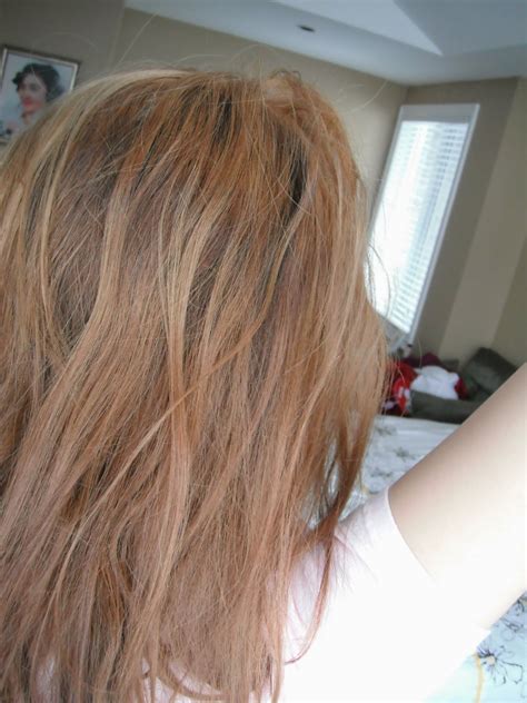 Safest Way To Bleach Dark Hair To Light Brown Least Damaging Photos