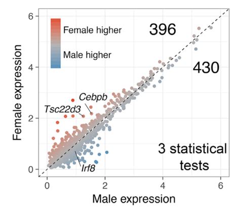 单细胞混样测序至少可以区分性别 腾讯云开发者社区 腾讯云