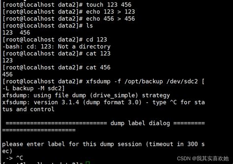 Linux文件系统与日志分析 Csdn博客 Linux文件系统与日志分析 Csdn博客