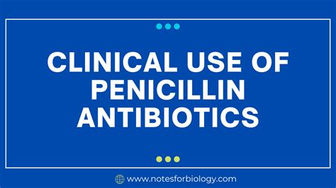 Penicillin Antibiotics Clinical Use Best Biology Notes