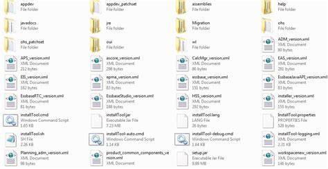 Bi Direct Installing Oracle Essbase Release 11 1 2 1 0 On Windows
