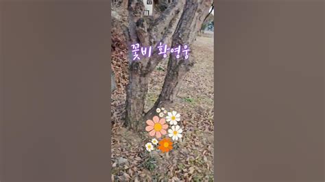 황영웅 불타는트롯맨 노래 쓸쓸한겨울 산 Youtube