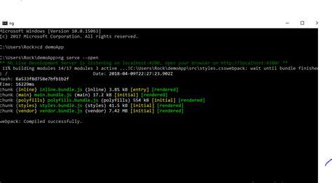 Cannot Interact With Command Prompt In Angular Stack Overflow