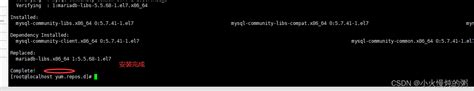 linux搭建测试环境（耗巨时制作全教程） linux搭建测试环境步骤 csdn博客