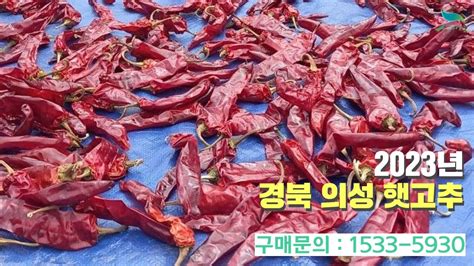 신바람 농산물 협력농가 판매상품 2023년 경북 의성 햇고추 판매합니다 중고트랙터 중고농기계 경운기 관리기 스키로더 굴삭기