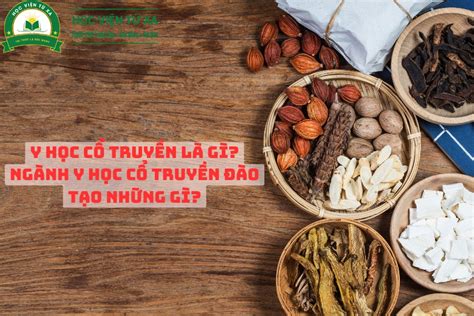 Y Học Cổ Truyền Là Gì Ngành Y Học Cổ Truyền Đào Tạo Những Gì