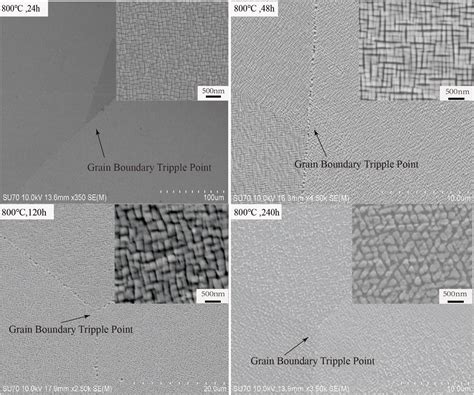 Properties Of Cobalt Based Superalloys At Richard Jett Blog