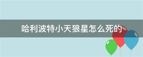 哈利波特小天狼星怎么死的 业百科