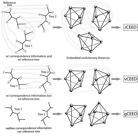 The Three Different Types Of Embedded Structure Alignment Described In