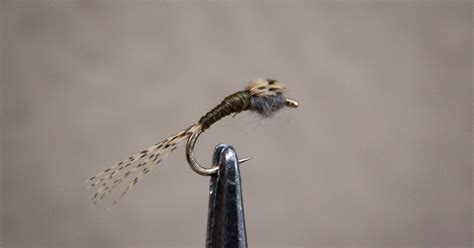 Tips For Nymphing With Tiny Flies Troutbitten