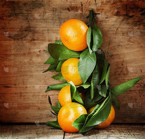 成熟的橘子挂在带叶的树枝上