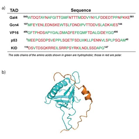 2 Mediator Complex In Yeast The Mediator Complex Is Composed Of 20 25