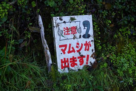 恐ろしい看板 T T カセットboy