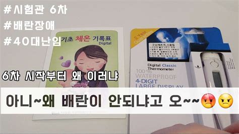 시험관 브이로그 시험관 6차 Ep1 배란 초음파만 몇 번째 보는겨배란장애 겪는 중😰 이번 차수 괜찮을까 Youtube