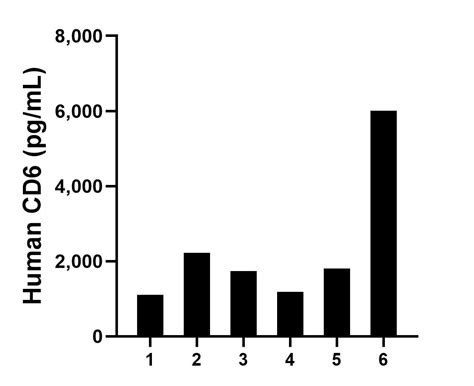 Cd6 Antibody 84508 1 Pbs Proteintech
