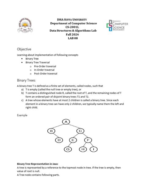 dsa lab 08 2024 docx pdf algorithms algorithms and data structures