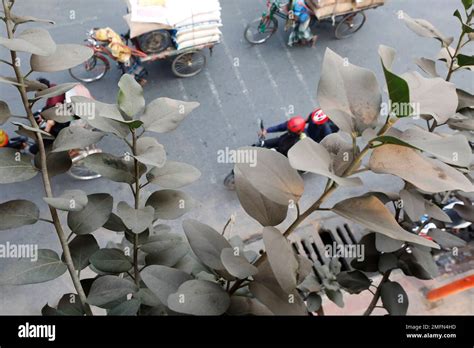 Dhaka Bangladesh January 25 2023 There Is So Much Dust Accumulated