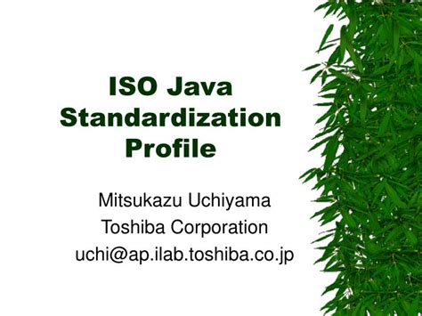 Ppt Iso Java Standardization Profile Powerpoint Presentation Free