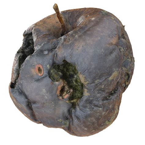 Rotten Decayed Apple 4 3d Model 59 Unknown Max 3ds Fbx Obj Free3d