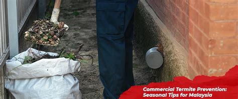 Commercial Termite Prevention Seasonal Tips For Malaysia