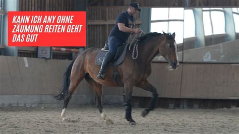 Ich Reite Any Ohne Zäumung Omg Ob Das Gut Geht Youtube