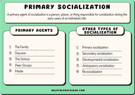 What Are The Examples Of Primary Social Group At Andres Lowe Blog