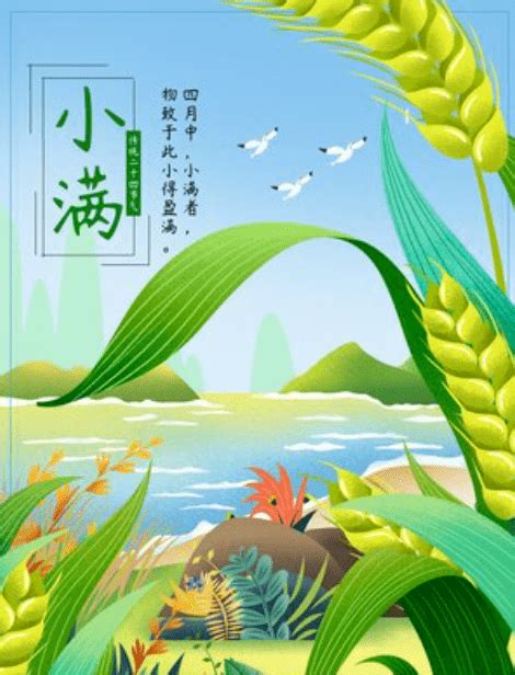 今日小满：人生最好是小满全圆