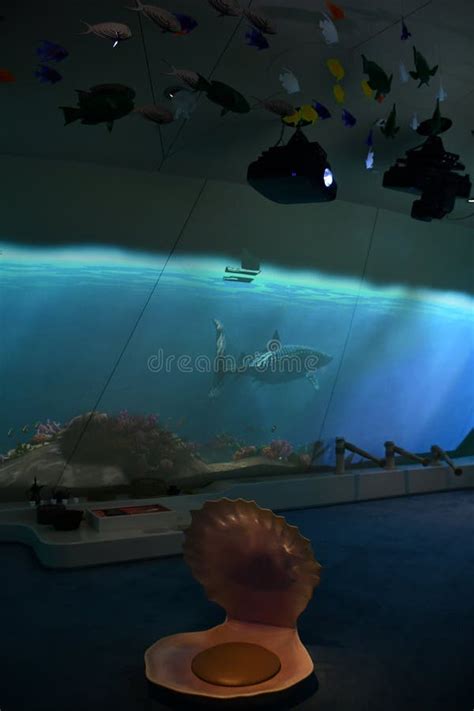Inside The National Museum Of Qatar In Doha Qatar Editorial Image
