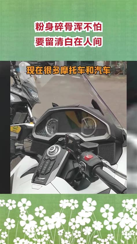 粉身碎骨浑不怕，要留清白在人间高清1080p在线观看平台腾讯视频