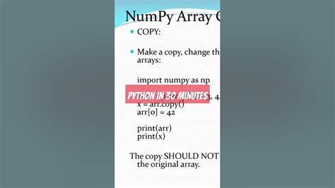 python for beginners start coding in 30 minutes n 457899 python pythonprogramming