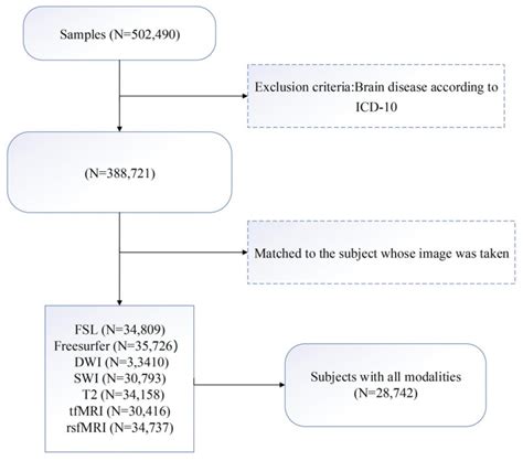 Comparison Of Machine Learning Models For Brain Age Prediction Using