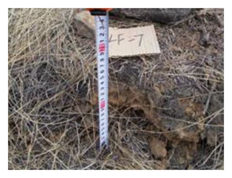 Classification Of Surface Cracks In The Working Face A Tensile