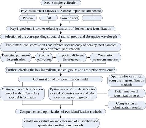 Figure 1 From The Feasibility Analysis Of Two Dimensional Near Infrared