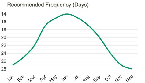 Black Saxaul Haloxylon Ammodendron Plant Care And How To Grow Water