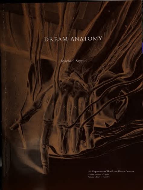 Dream Anatomy | PDF