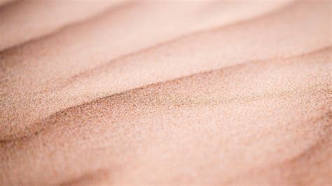 Virtual Assistant Vision And Promise