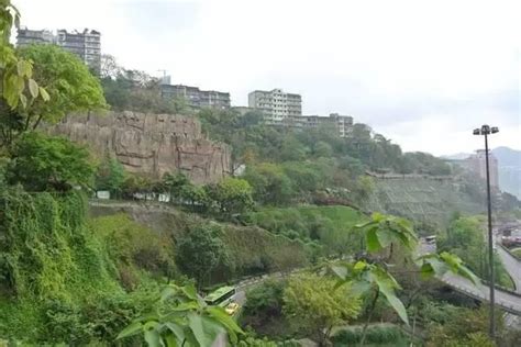 首家倒閉共享單車，幾十家權威媒體報道，失敗最神秘的原因竟然是 每日頭條
